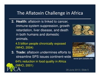 Aflatoxins impact on livestock and livestock trade | PPT