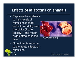 Aflatoxins impact on livestock and livestock trade | PDF