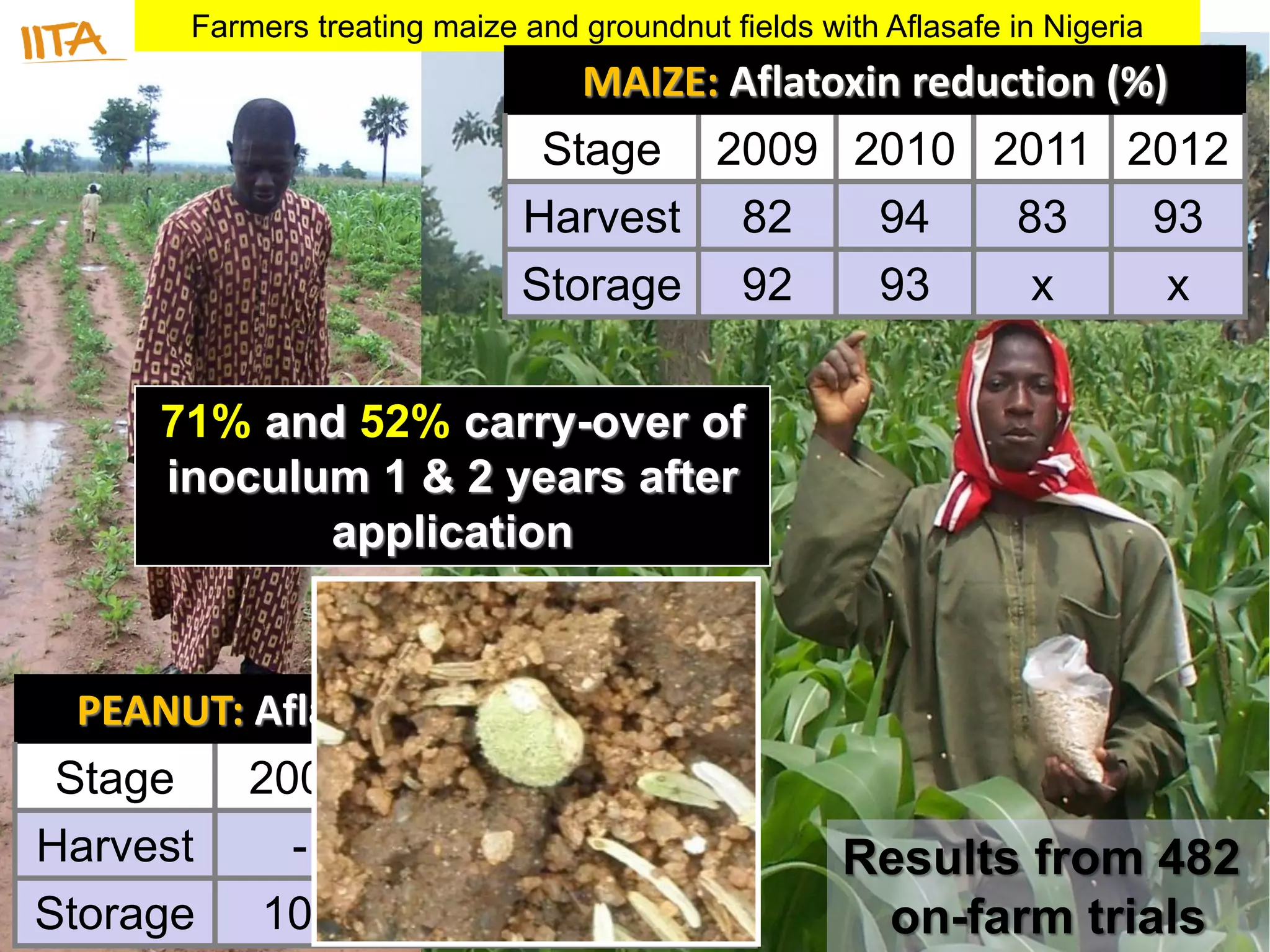 Aflatoxins agriculture and technology solutions available for abating the aflatoxin challenge | PPT