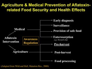 Aflatoxins agriculture and technology solutions available for abating the aflatoxin challenge | PPT