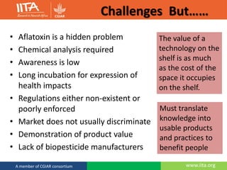 Aflatoxins agriculture and technology solutions available for abating the aflatoxin challenge | PPT