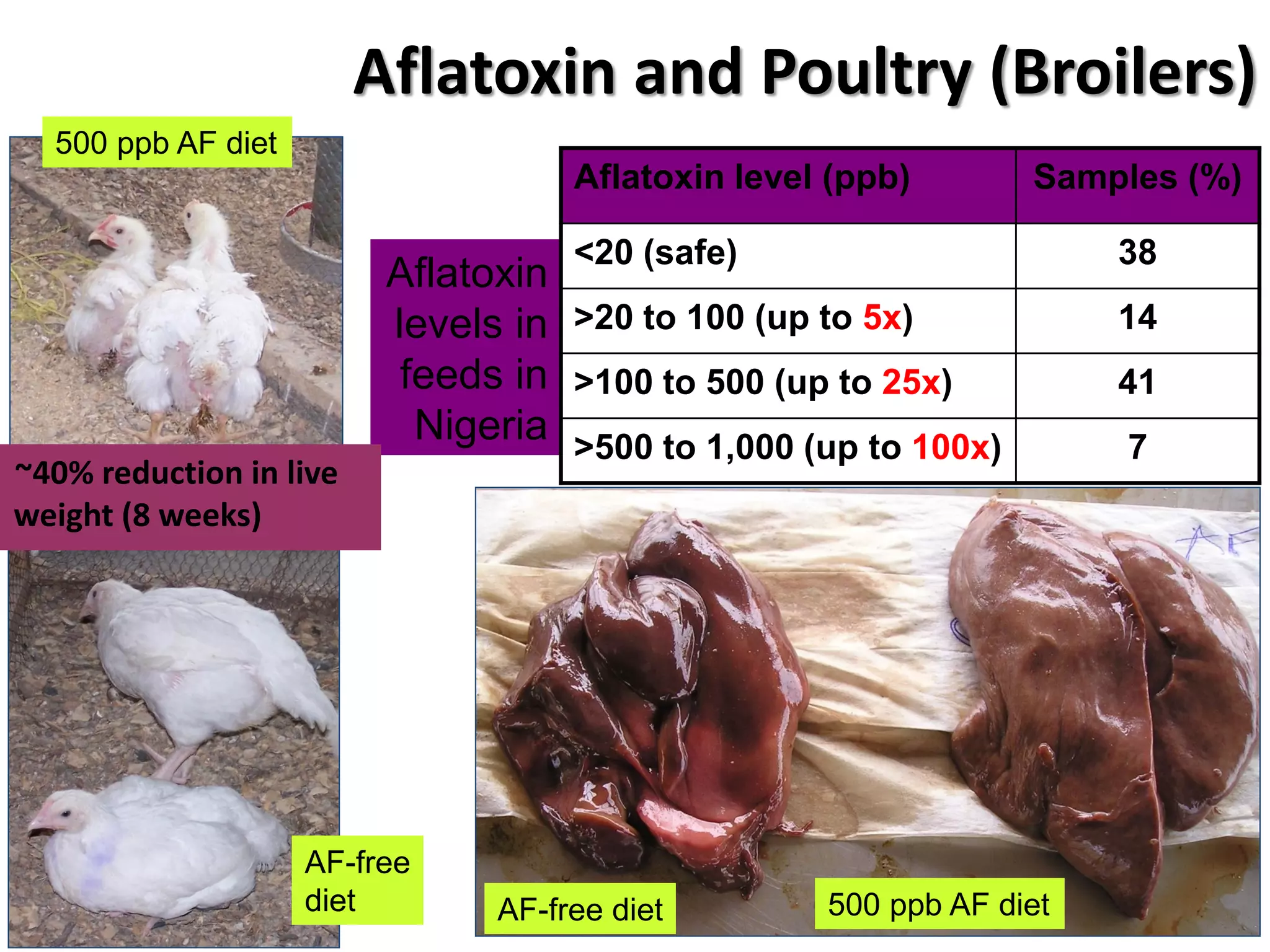 Aflatoxins agriculture and technology solutions available for abating the aflatoxin challenge ...