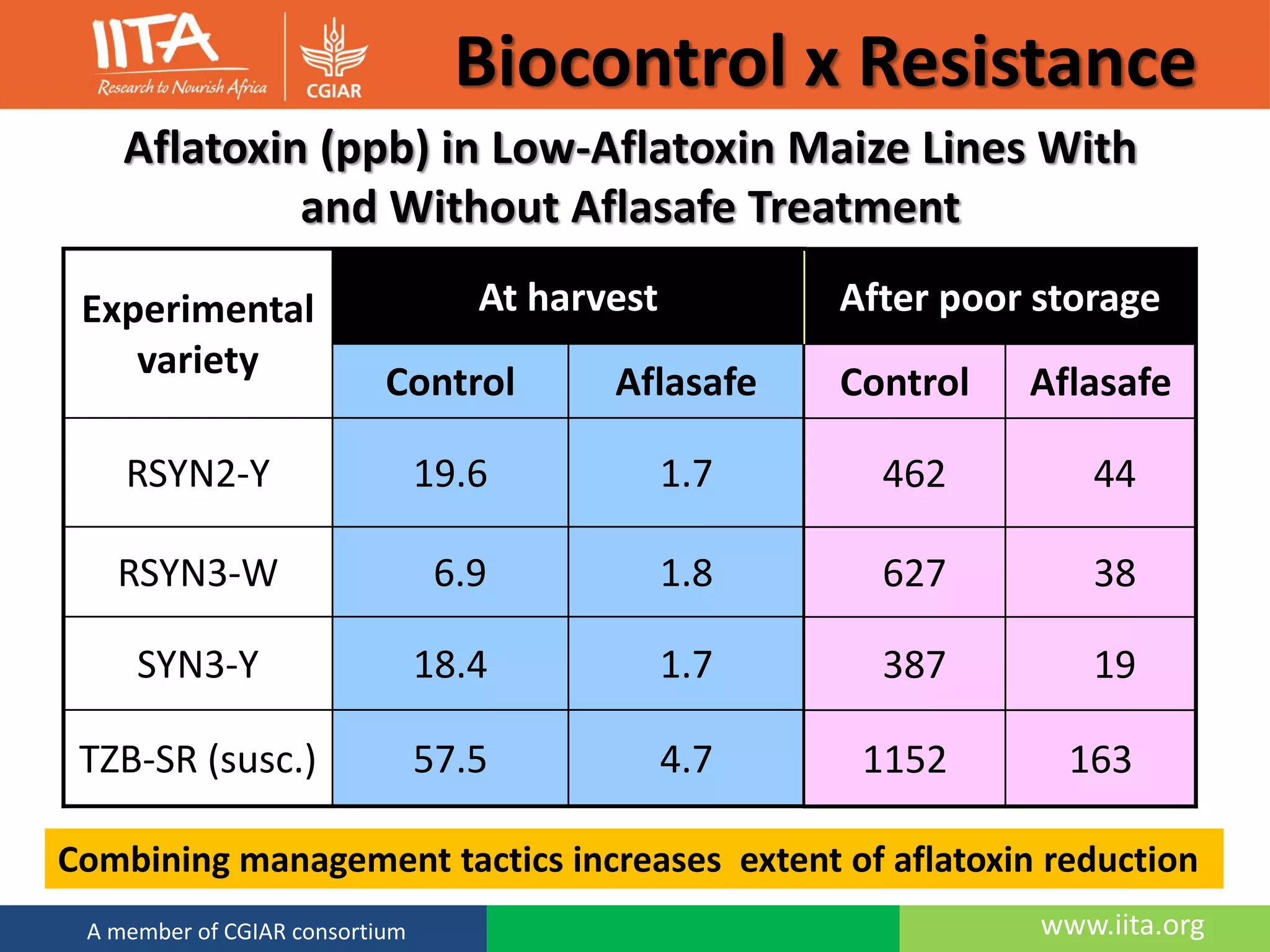 Aflatoxins agriculture and technology solutions available for abating ...