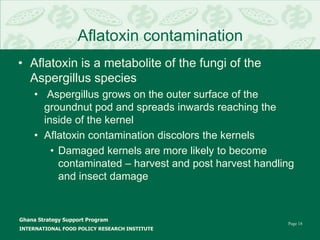 Aflatoxins in Groundnuts | PPTX