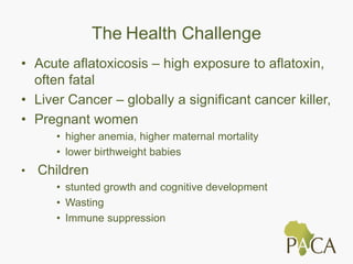 The Aflatoxin Challenge | PPT