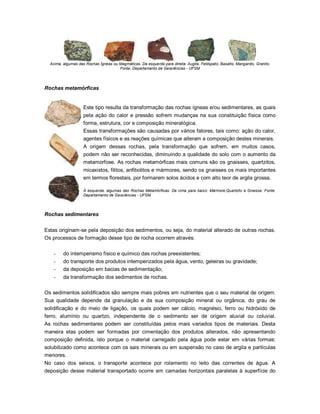 A floresta e o solo (1) | PDF