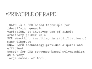 DNA Fingerprinting (AFLP, RFLP, RAPD) & Its advntages and application | PPTX
