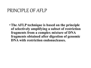 DNA Fingerprinting (AFLP, RFLP, RAPD) & Its advntages and application ...
