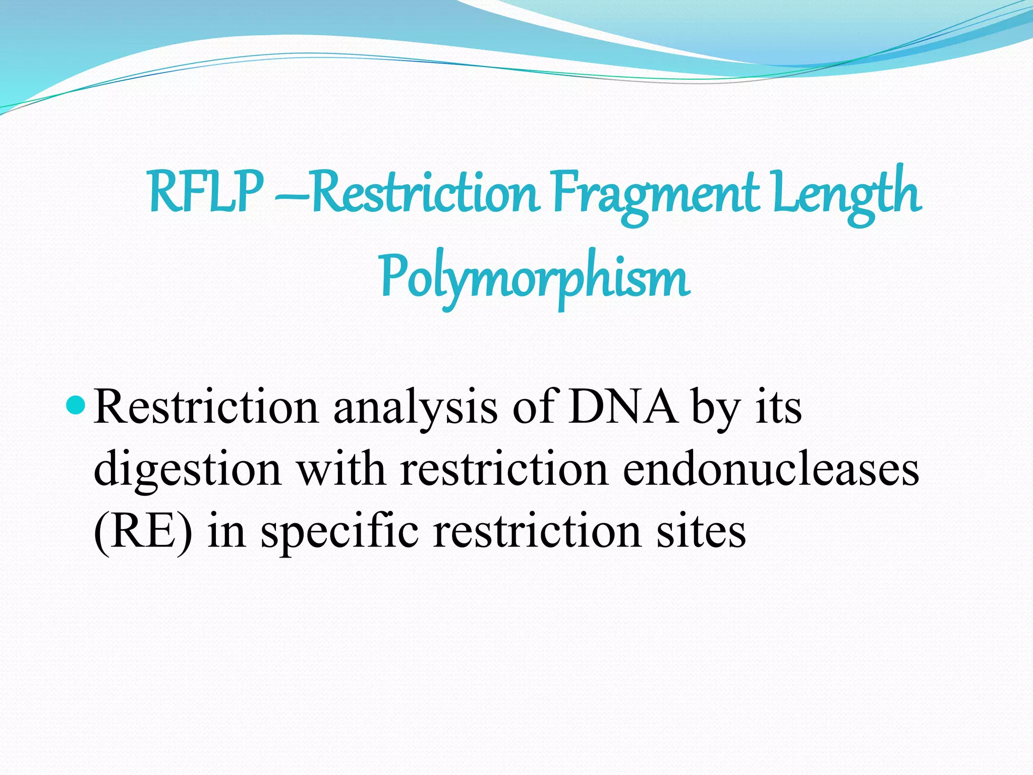 AFLP, RFLP & RAPD | PPTX