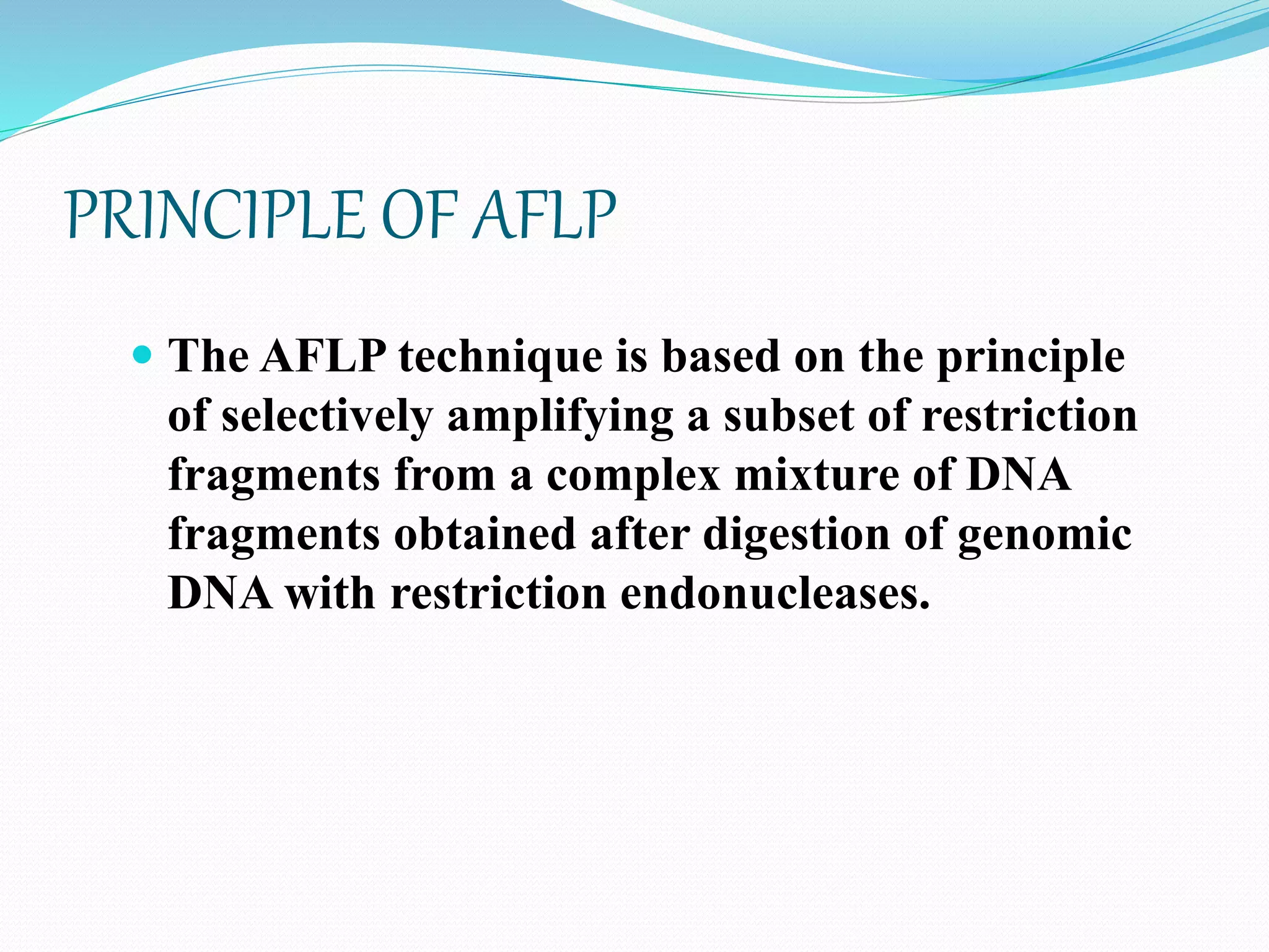AFLP, RFLP & RAPD | PPTX