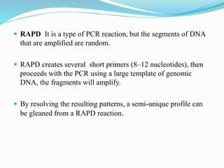 AFLP, RFLP & RAPD | PPTX