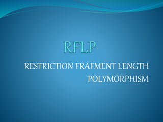 AFLP, RFLP & RAPD | PPTX