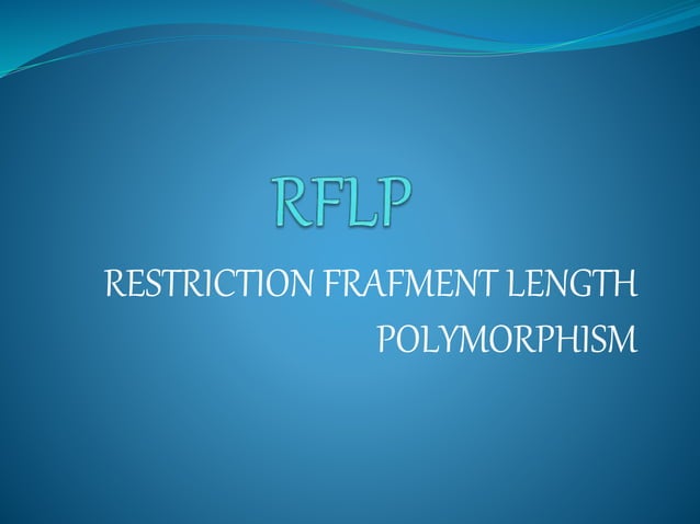 AFLP, RFLP & RAPD | PPTX | Chemistry | Science