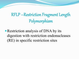AFLP, RFLP & RAPD | PPTX