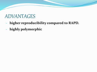 AFLP, RFLP & RAPD | PPTX