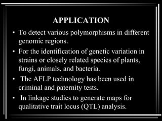 molecular marker AFLP, and application | PPT