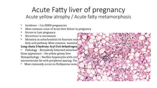 Acute Fatty Liver in Pregnancy.pptx. | PPTX