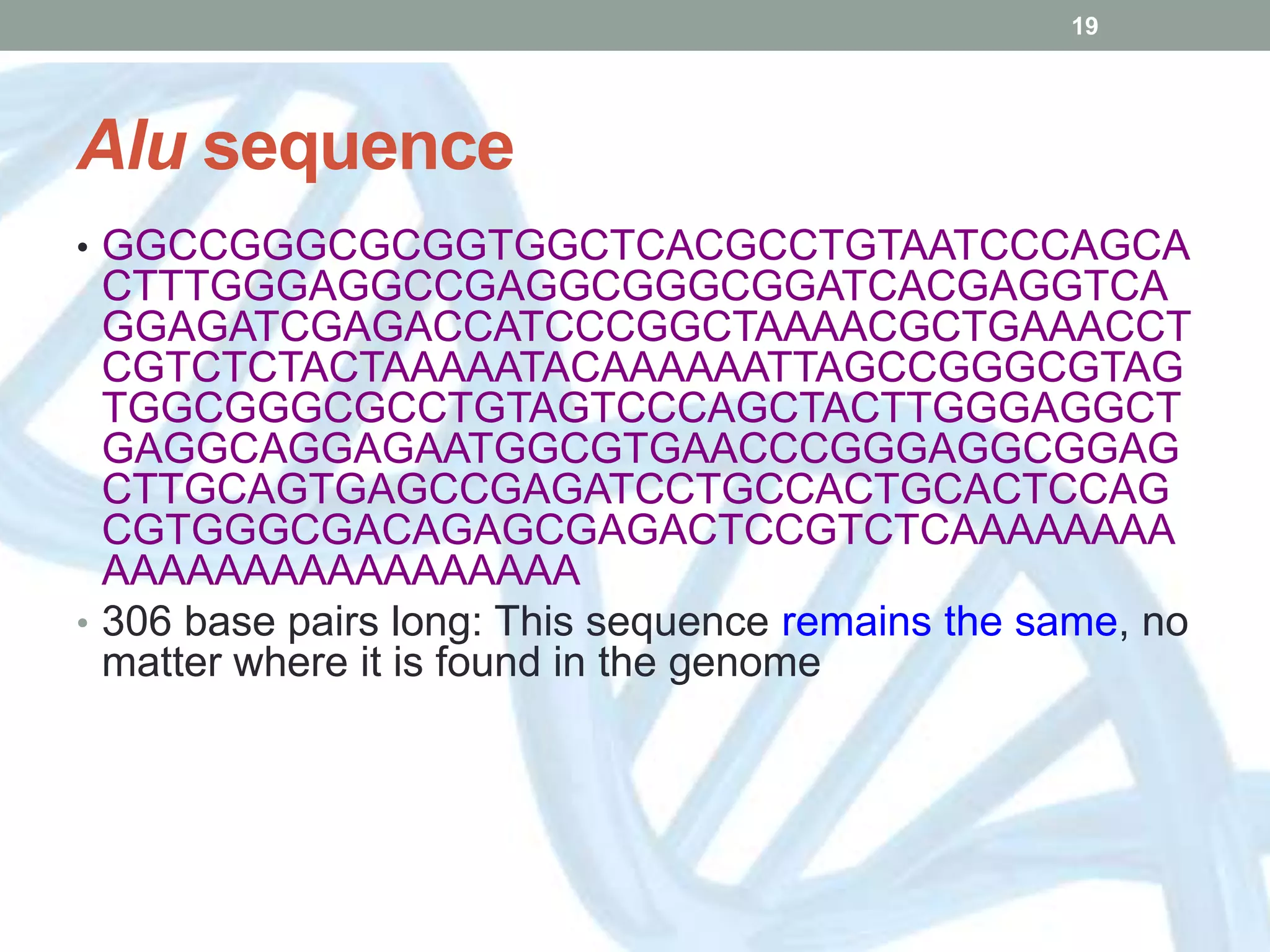 Aflp (amplified fragment length polymorphism), alu | PPTX