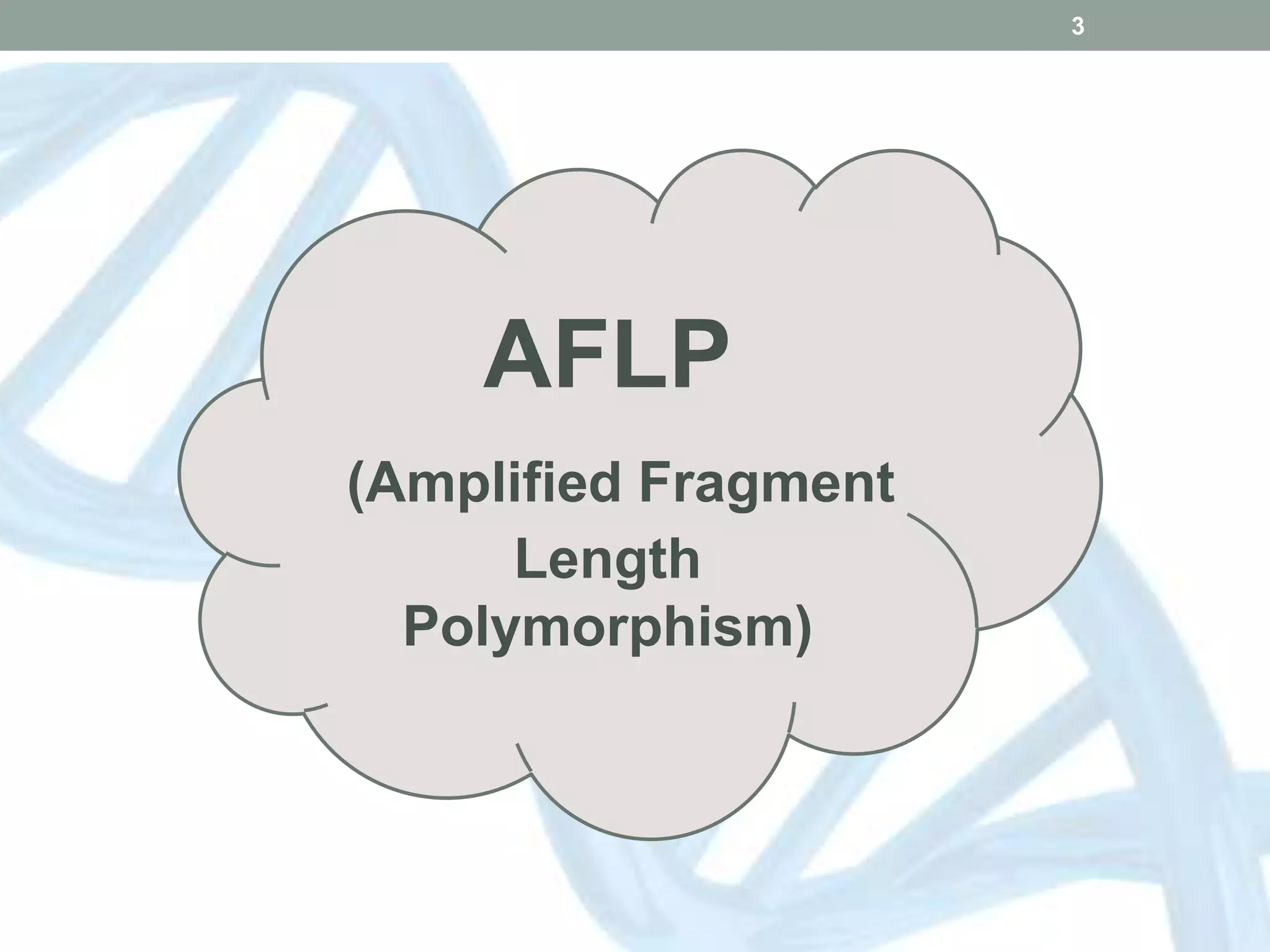 Aflp Amplified Fragment Length Polymorphism Alu Ppt