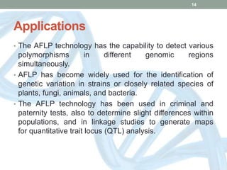 Aflp (amplified fragment length polymorphism), alu | PPTX