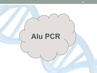 Aflp (amplified fragment length polymorphism), alu | PPTX | Chemistry ...