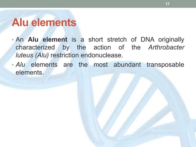 Aflp (amplified fragment length polymorphism), alu | PPTX | Chemistry | Science