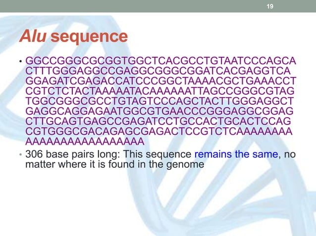 Aflp Amplified Fragment Length Polymorphism Alu Ppt