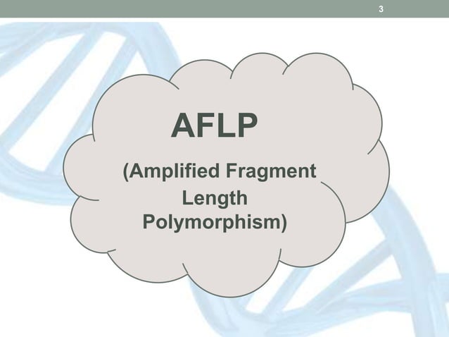 Aflp (amplified fragment length polymorphism), alu | PPTX | Chemistry | Science