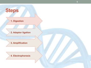 Aflp (amplified fragment length polymorphism), alu | PPTX