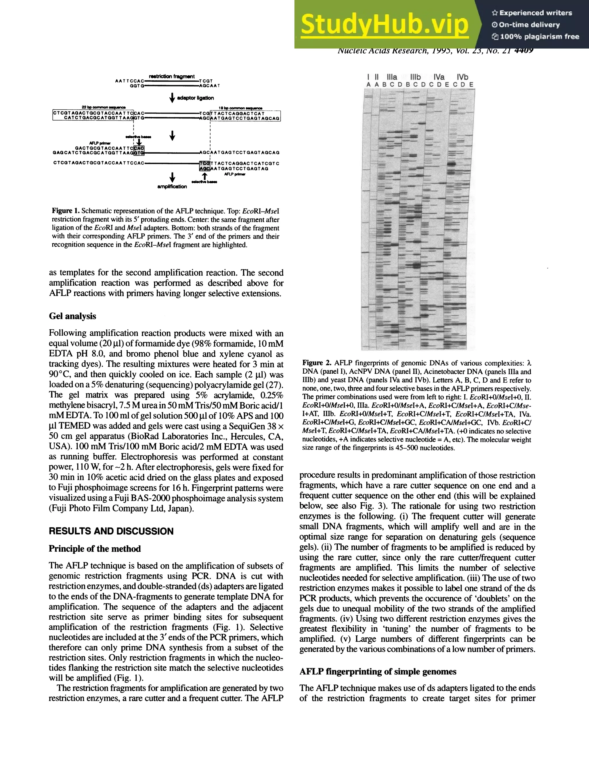 AFLP A New Technique For DNA Fingerprinting | PDF
