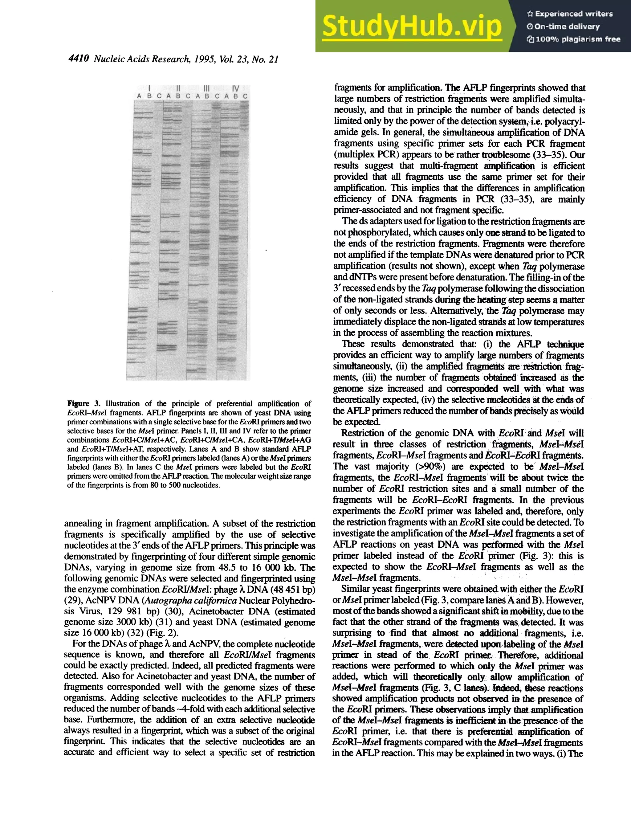 AFLP A New Technique For DNA Fingerprinting | PDF