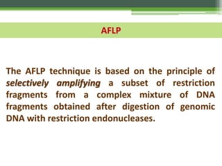 Aflp & rflp (bikash kumar singh) | PPTX | Genetics | Science