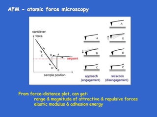 AFM.ppt