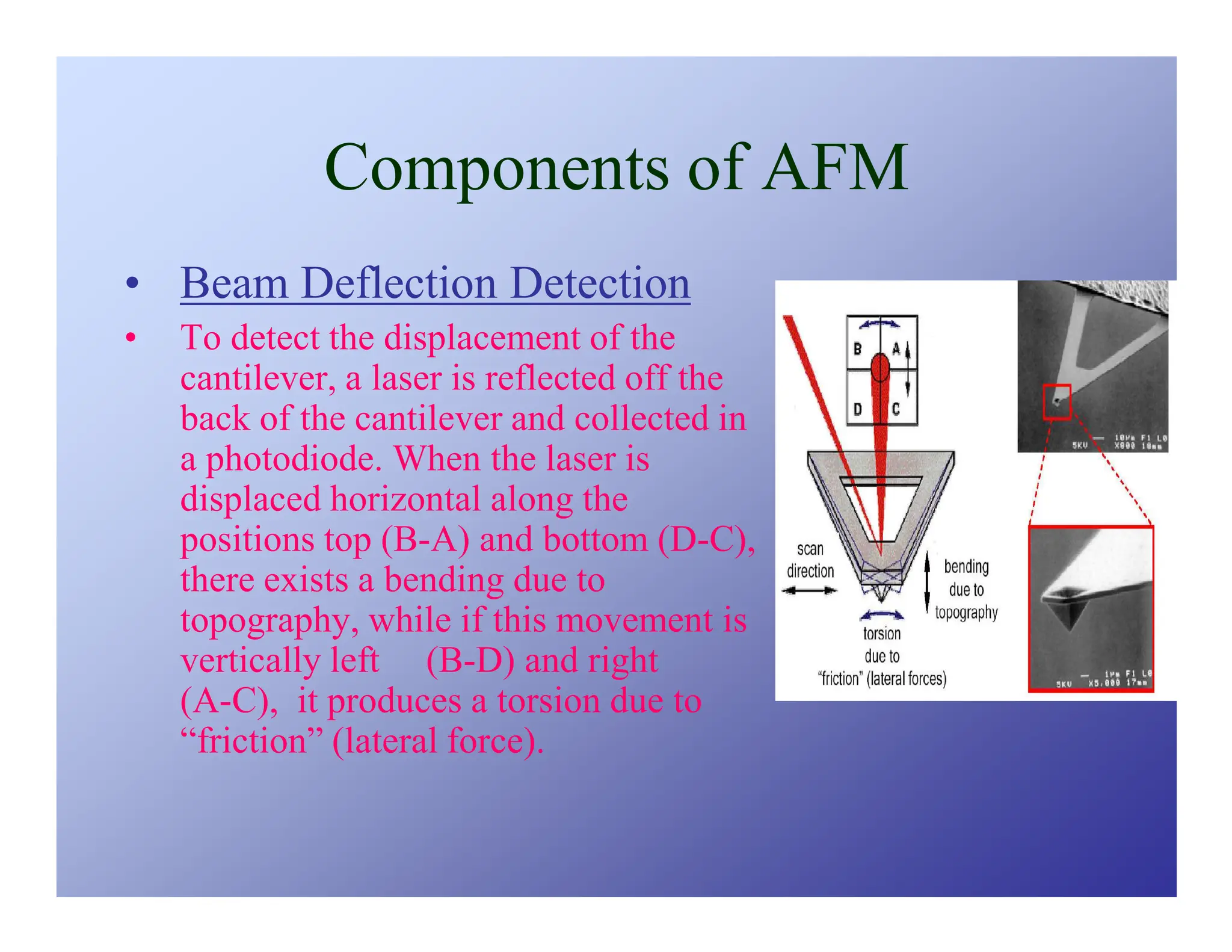 AFM technique aaaaaaaaaaaaaaaaaaaaaaaaaaaaaaa | PPT