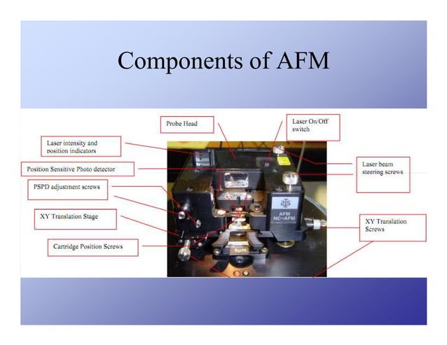 AFM technique aaaaaaaaaaaaaaaaaaaaaaaaaaaaaaa | PPT