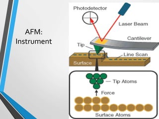 AFM and STM (Scanning probe microscopy) | PPTX | Physics | Science
