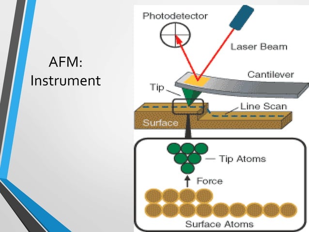 AFM and STM (Scanning probe microscopy) | PPTX | Physics | Science