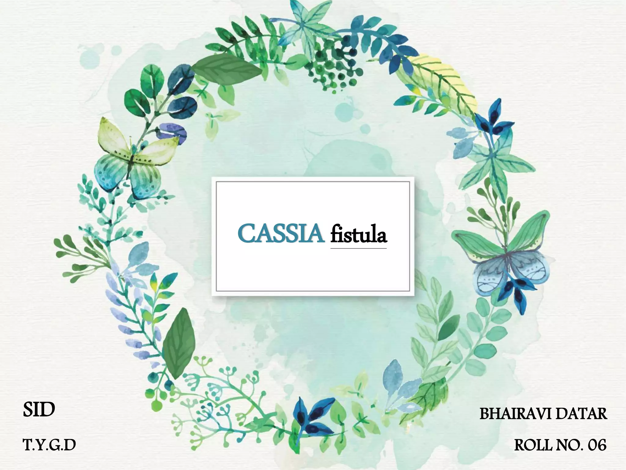 Docket Restaurant Project | PPT