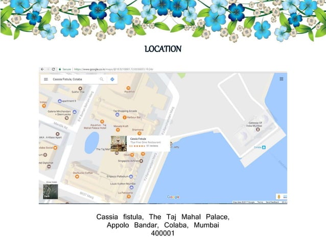 Docket Restaurant Project | PPT