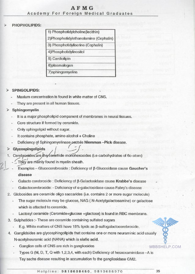 Biochemistry AFMG Notes | PDF