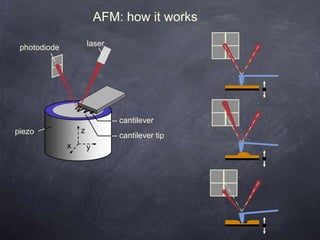 Atomic Force Microscope and its potential use in biology | PPT ...