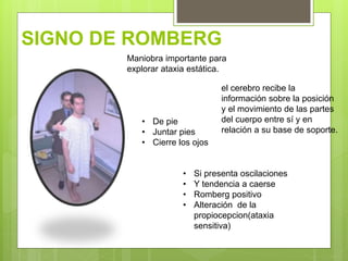 AFECCIONES NEUROLOGICAS | PPT