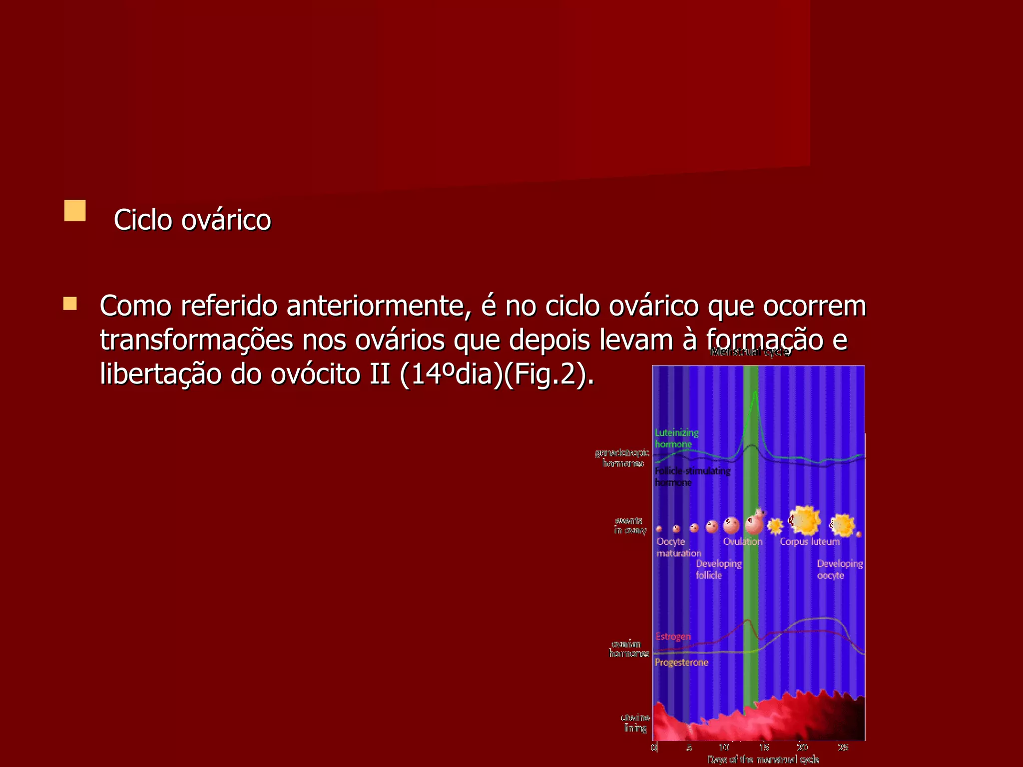 Sistema Reprodutor Feminino Ppt
