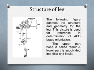 AFO PPT for disabled people born without legs | PPTX | Death, Injury ...