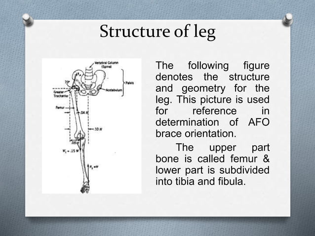 AFO PPT for disabled people born without legs | PPTX | Death, Injury, or Military Conflict ...