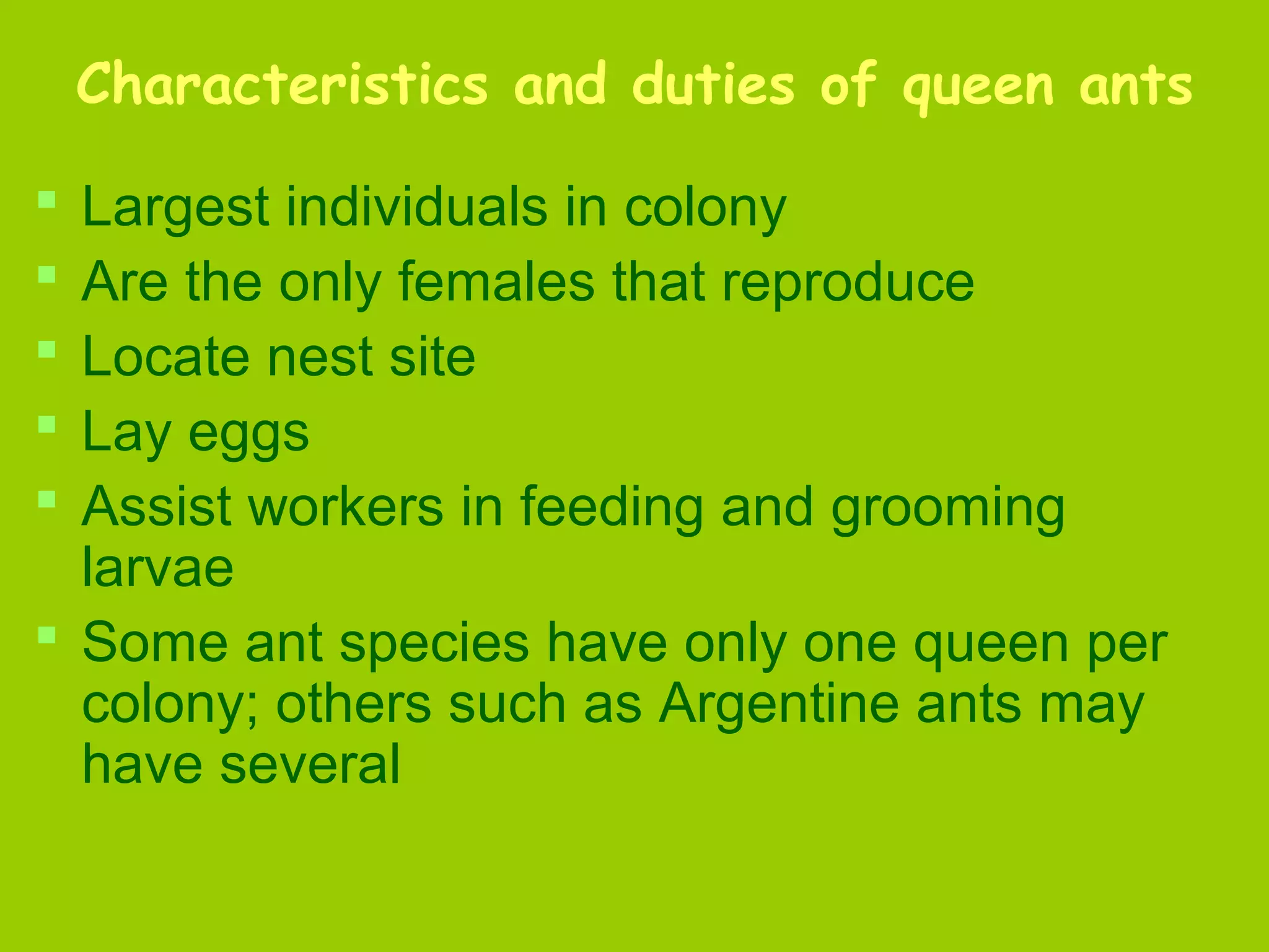 A for ant | PPT