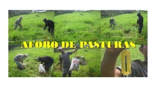 Aforar un potrero | PPTX