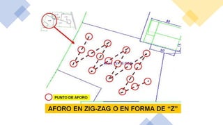 Aforar un potrero | PPTX