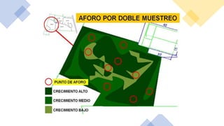 Aforar un potrero | PPTX
