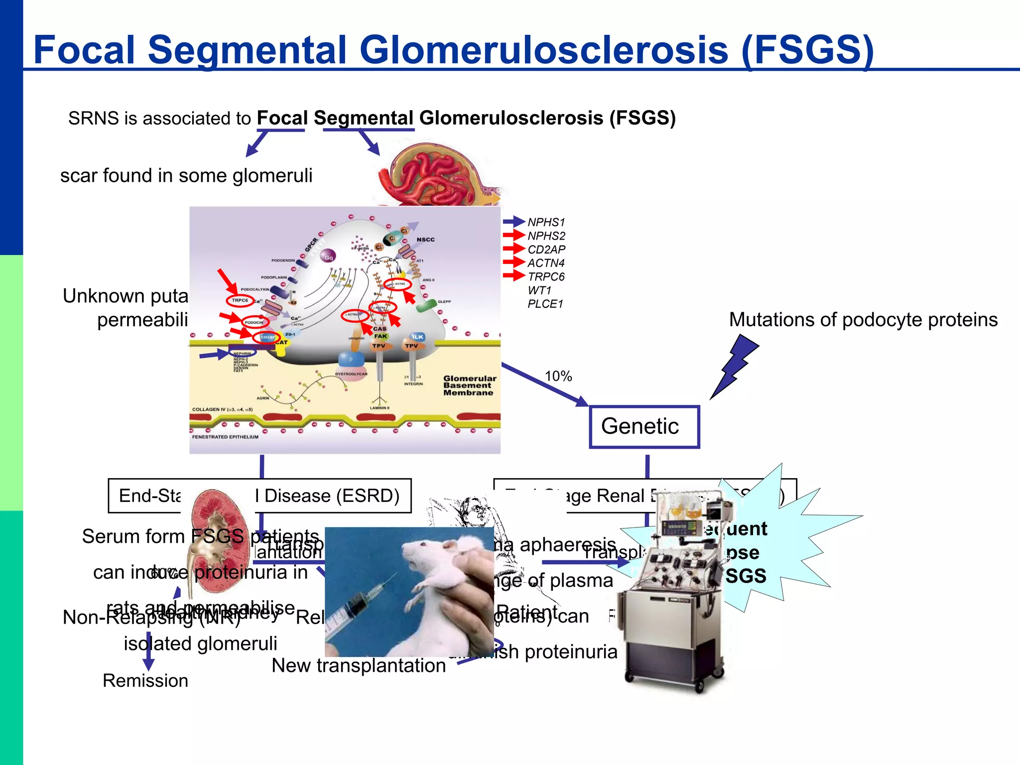 A form of Apolipoprotein A-I is a potential biomarker of focal ...